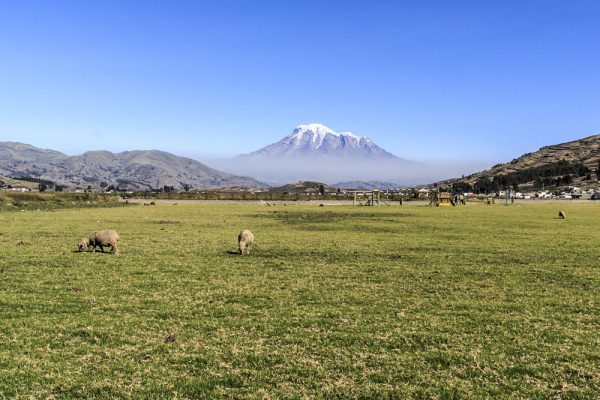 Discovering the Natural and Cultural Wonders of Ecuador – FOURWORLDS